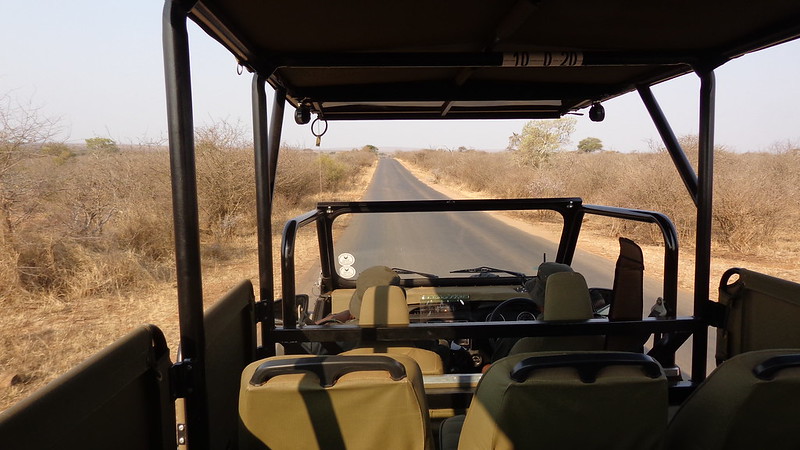 7-Day Rwanda Gorillas and Wildlife - Bonobos African Safaris